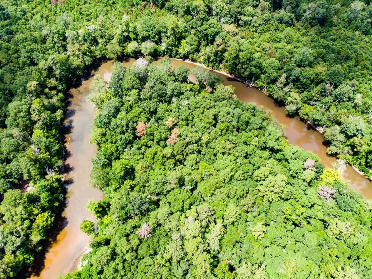 Beautiful Recreational Land in Alabama's Wiregrass Region - LANDFLIP BLOG