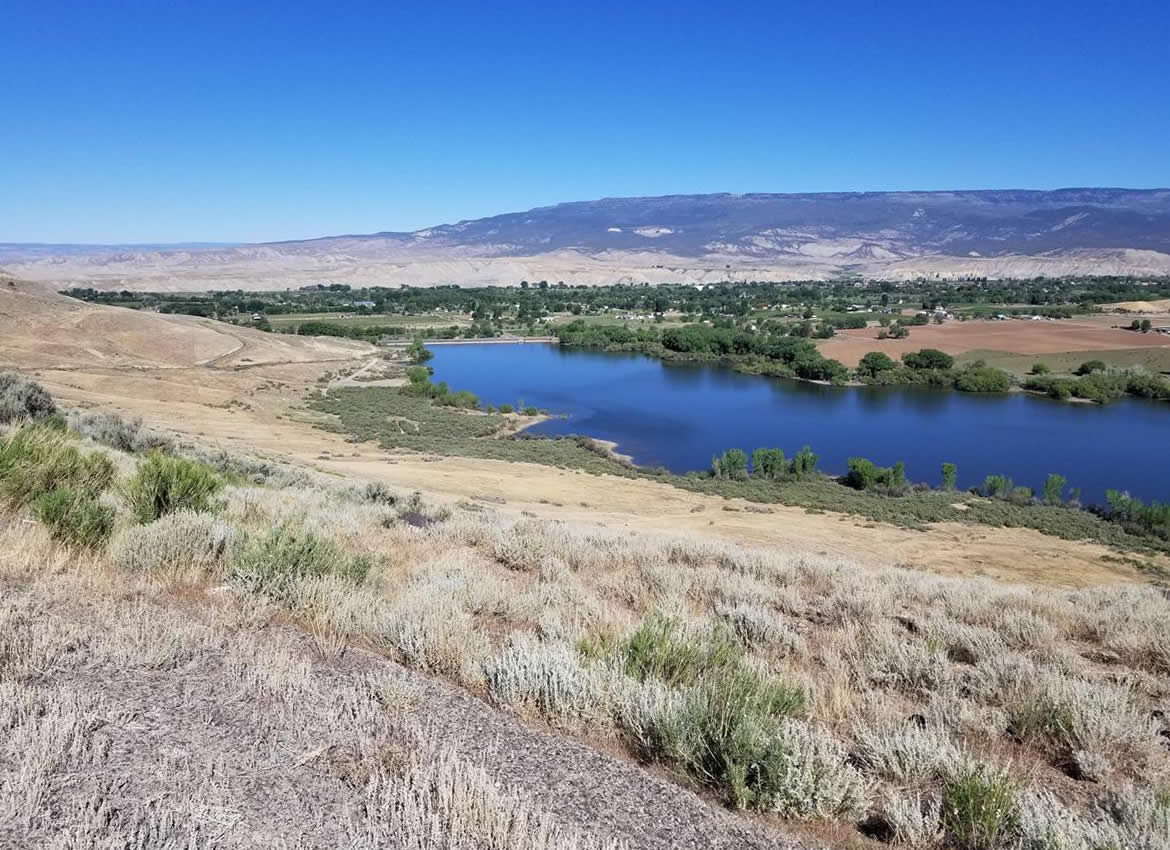 Cash-Producing Colorado Orchard with Panoramic Views - LANDFLIP BLOG