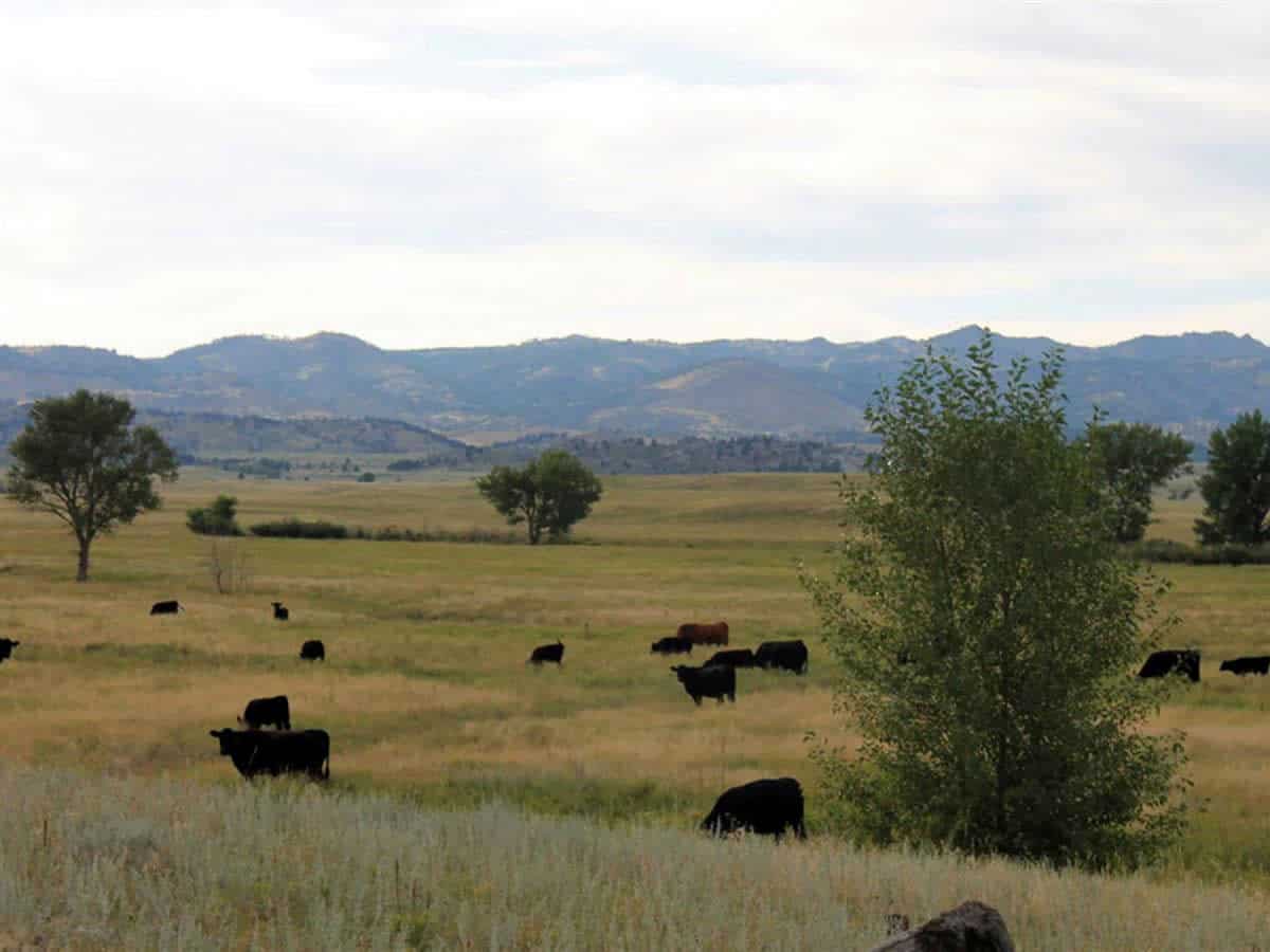 Cattle Ranch Offers Sweeping Views of Laramie Mountains - LANDFLIP BLOG