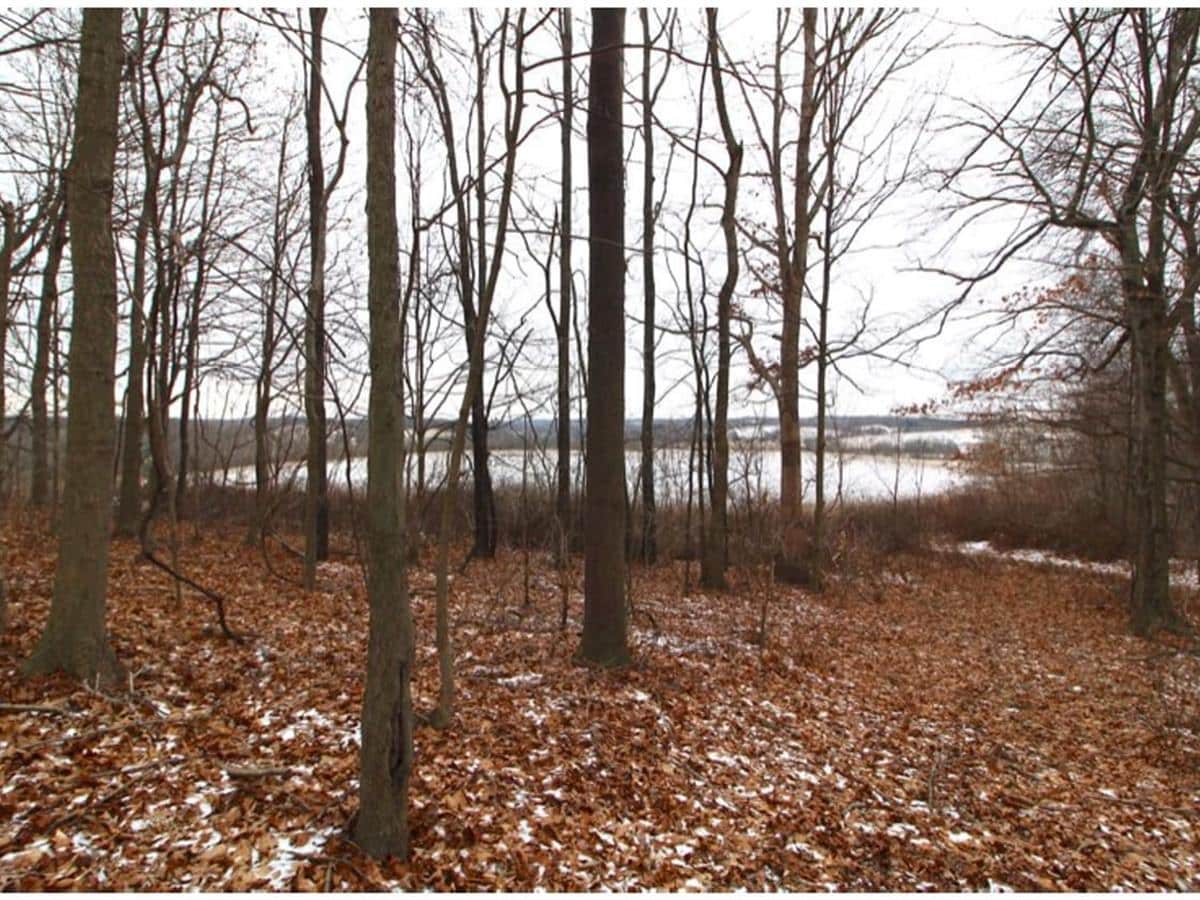 Excellent Hunting Tract in Trophy Buck Area of Ohio - LANDFLIP BLOG