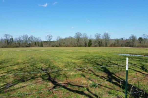 Featured Land: The Lee Farm Tract in Alabama - LANDFLIP BLOG