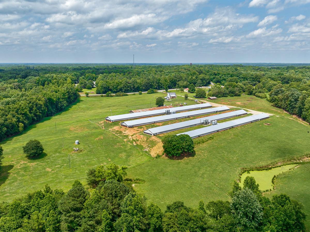 Georgia Farm with Potential for Income - LANDFLIP BLOG