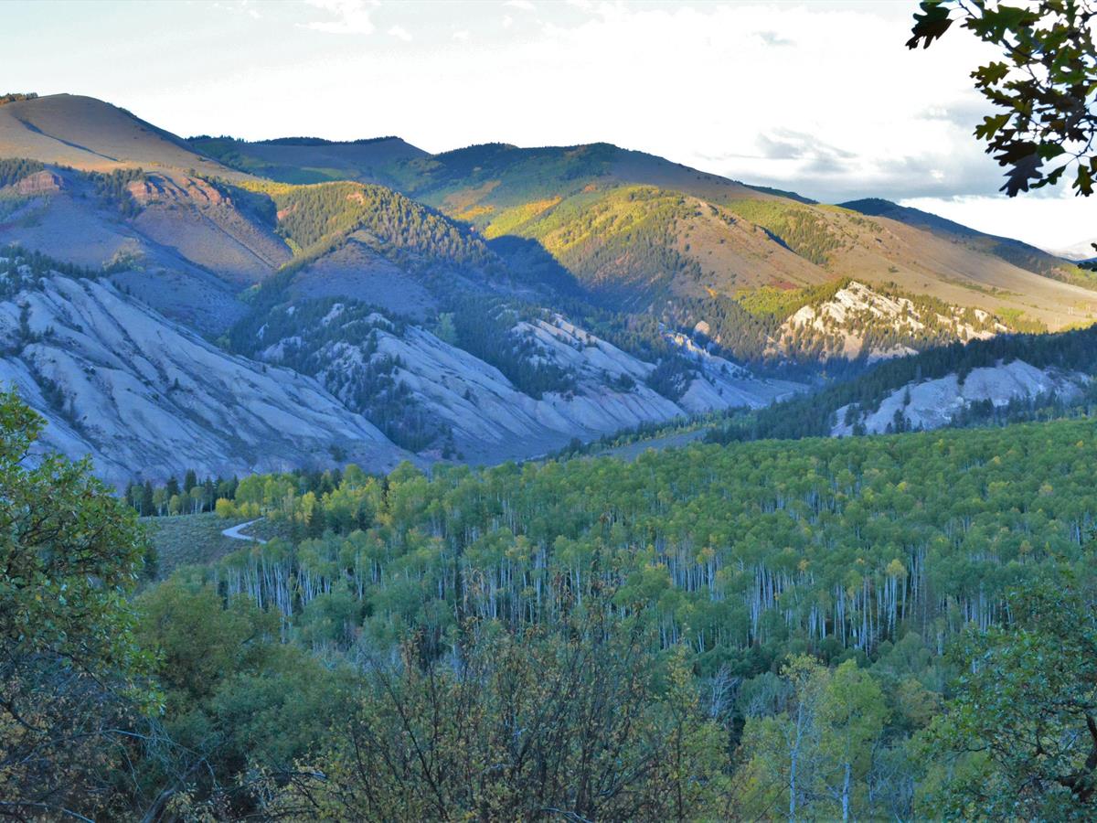 High Mountain Ranch with National Forest Boundary - LANDFLIP BLOG