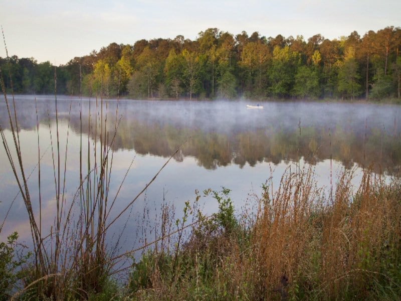 Historic Cason Callaway Woodland Estate - LANDFLIP BLOG