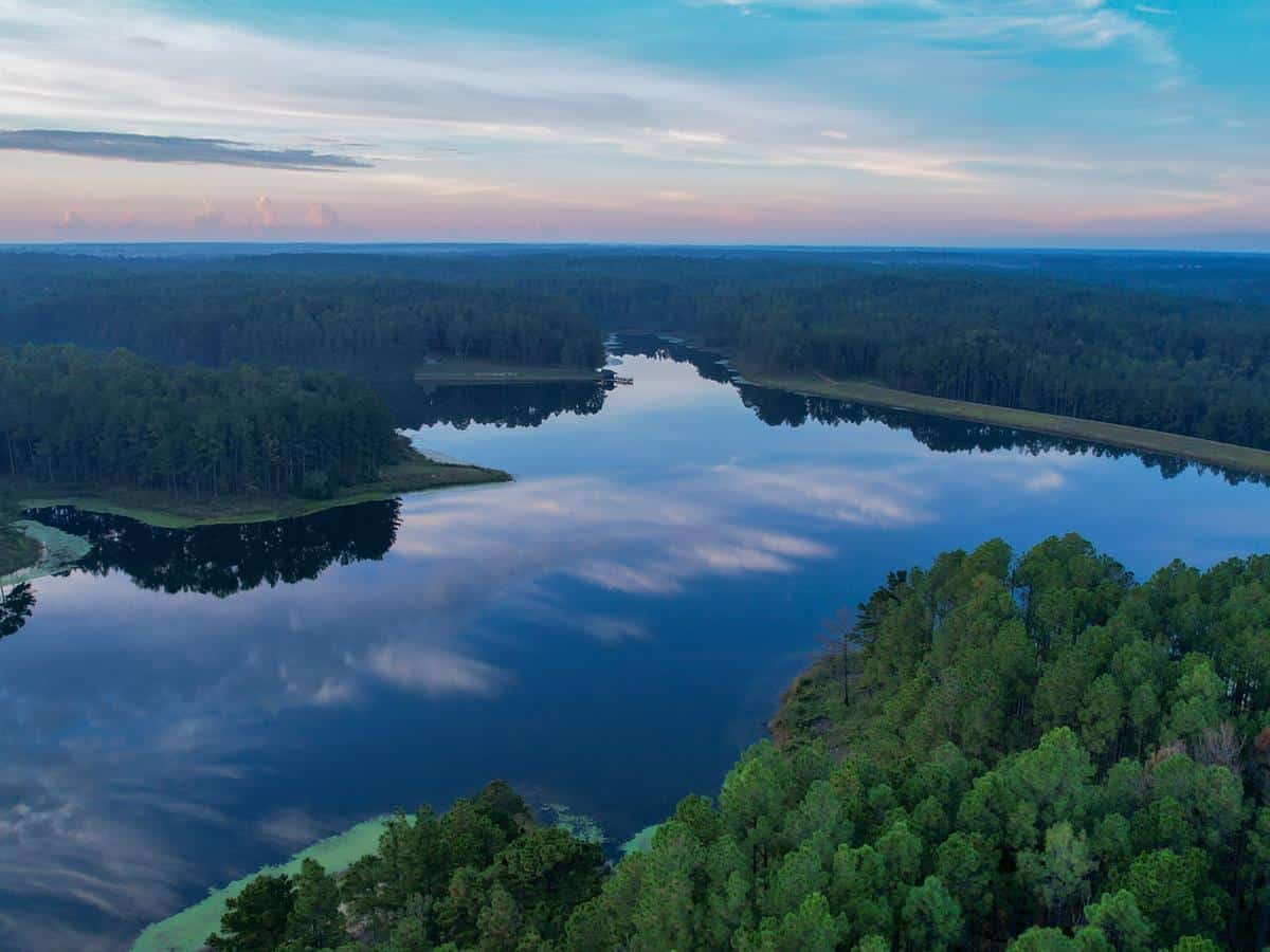 The Hudson Plantation: An Exceptional Timber & Recreational Property ...
