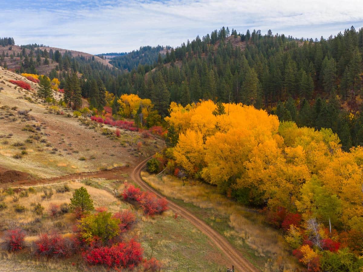 Hunt Across 2,300 Acres Bordering National Forest - LANDFLIP BLOG
