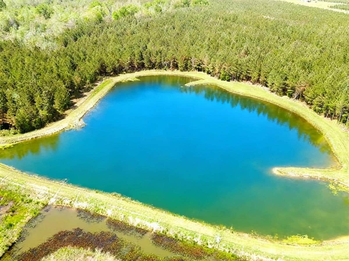 Hunting and Recreational Tract with Pond - LANDFLIP BLOG