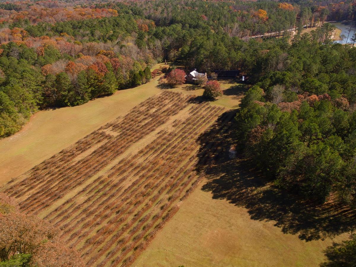 Iconic Vineyard Farm with Log Home - LANDFLIP BLOG