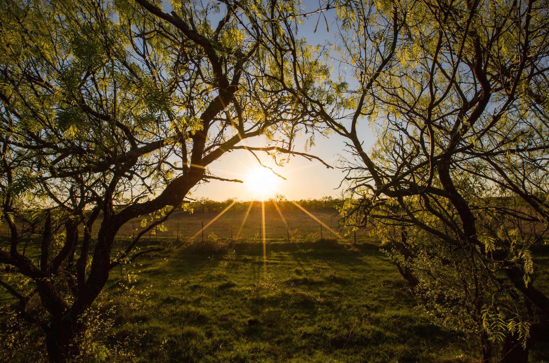 In Texas, Near Heaven - LANDFLIP BLOG