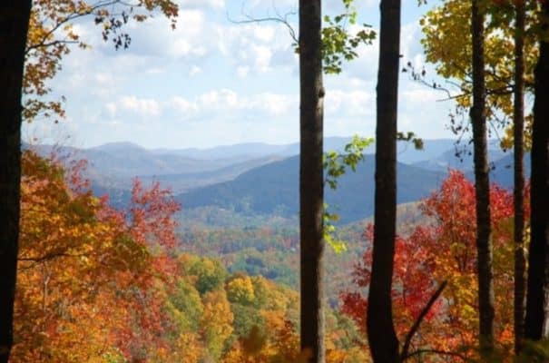 It’s Fall at the Cove at Celo Mountain - LANDFLIP BLOG