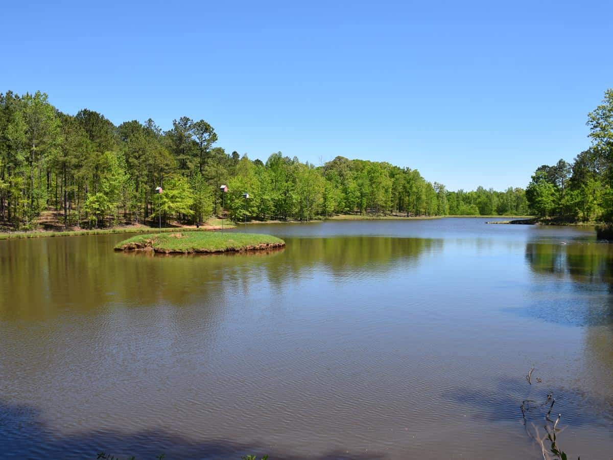 Middle Georgia Recreational Tract is an Outdoorsman’s Dream - LANDFLIP BLOG