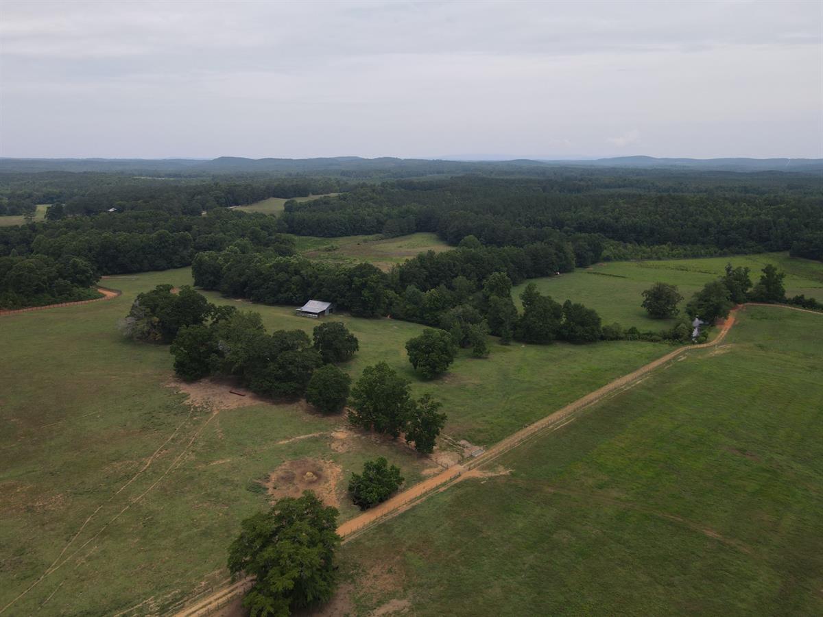 Operating Purebred Seedstock Cattle Ranch in Alabama - LANDFLIP BLOG