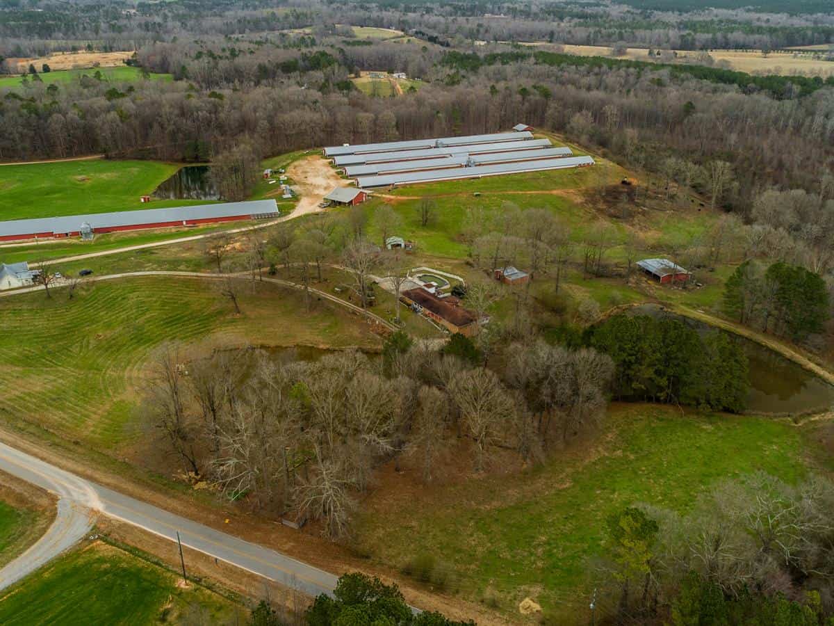 Poultry Farm & Home in Beautiful Country Setting - LANDFLIP BLOG