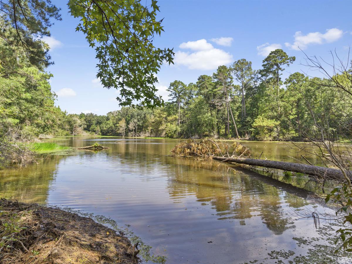 Productive Multi-Use Property with Ponds, Homesite - LANDFLIP BLOG Productive Multi-Use Property with Ponds, Homesite - LANDFLIP BLOG