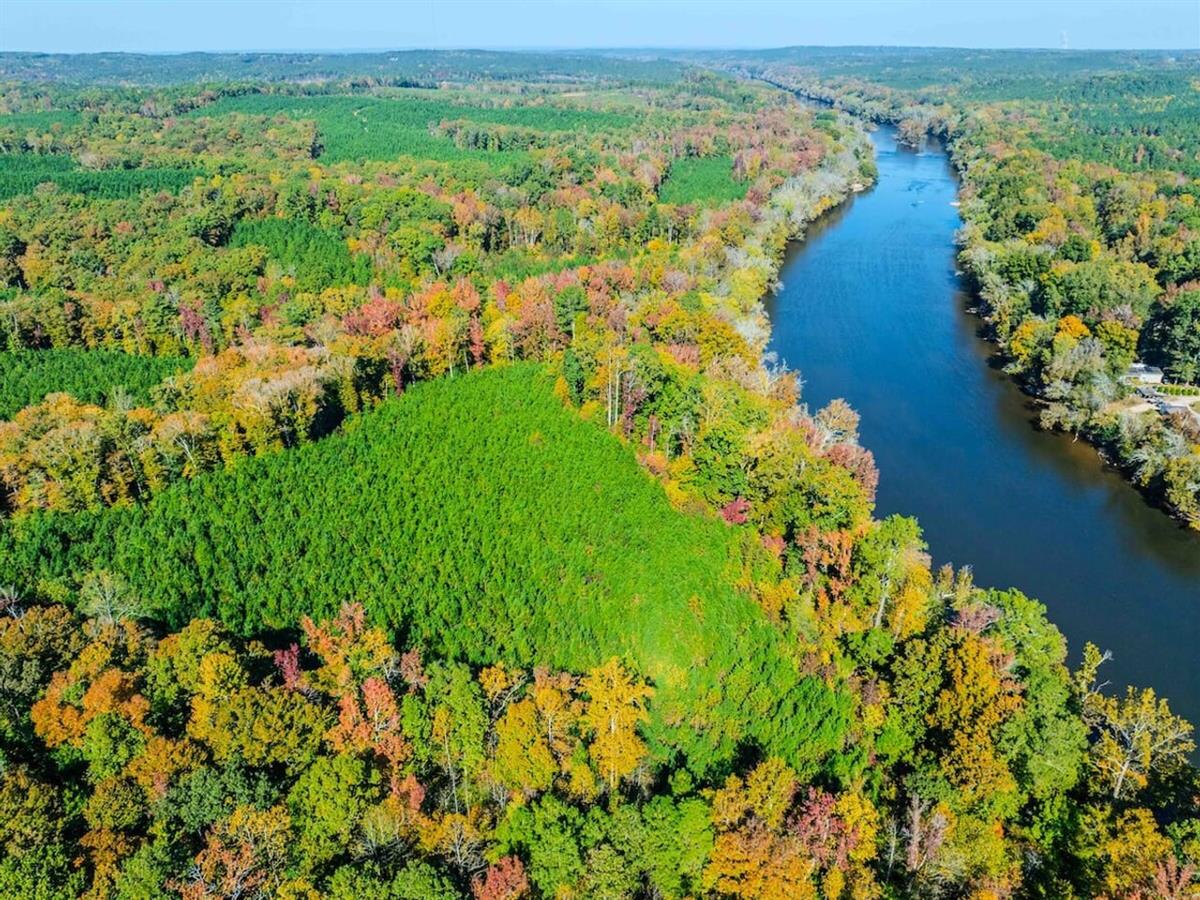 Recreational & Timber Property with Cape Fear River Frontage - LANDFLIP ...