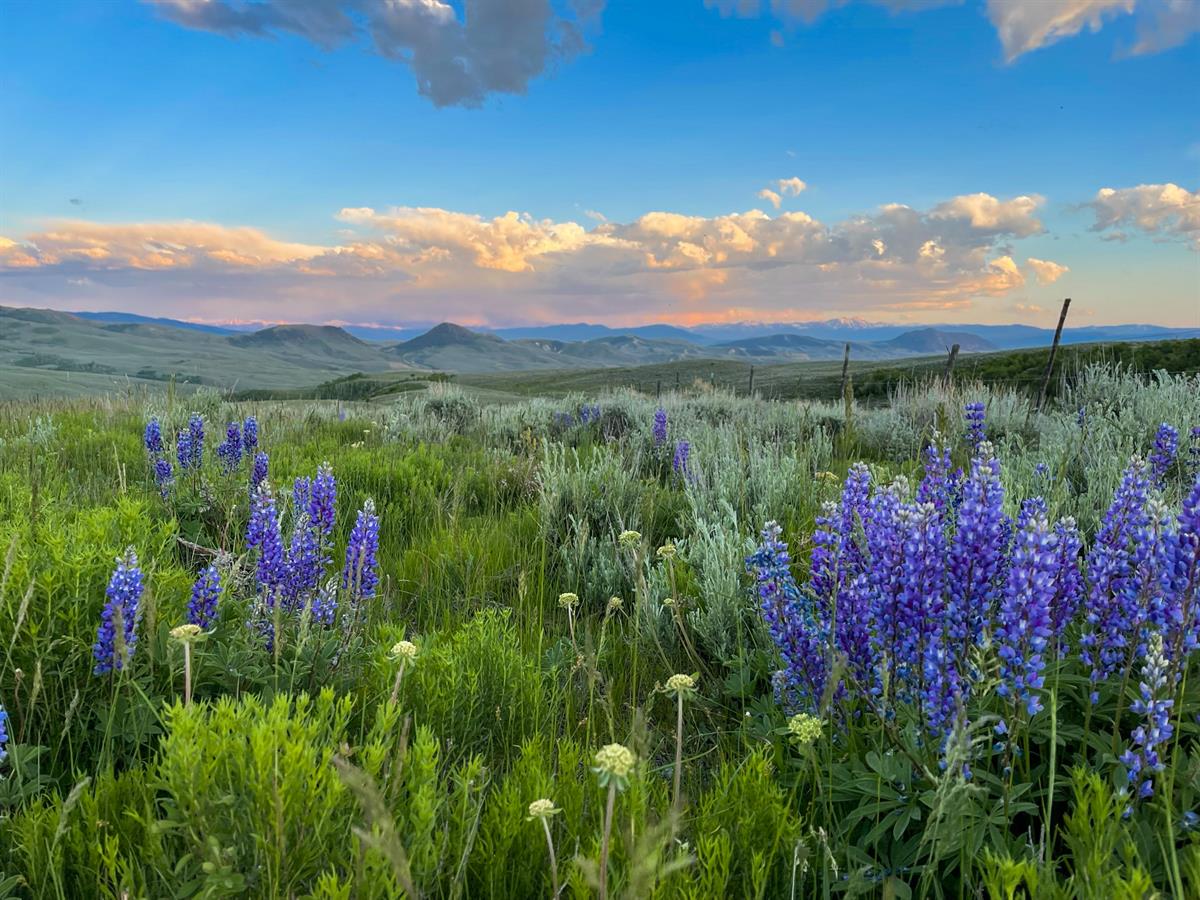 Stunning Colorado Ranch Offers One-Of-A-Kind Hunting Potential ...