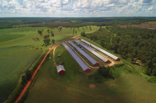 The Morgan Farm in Marion County, Georgia - LANDFLIP BLOG