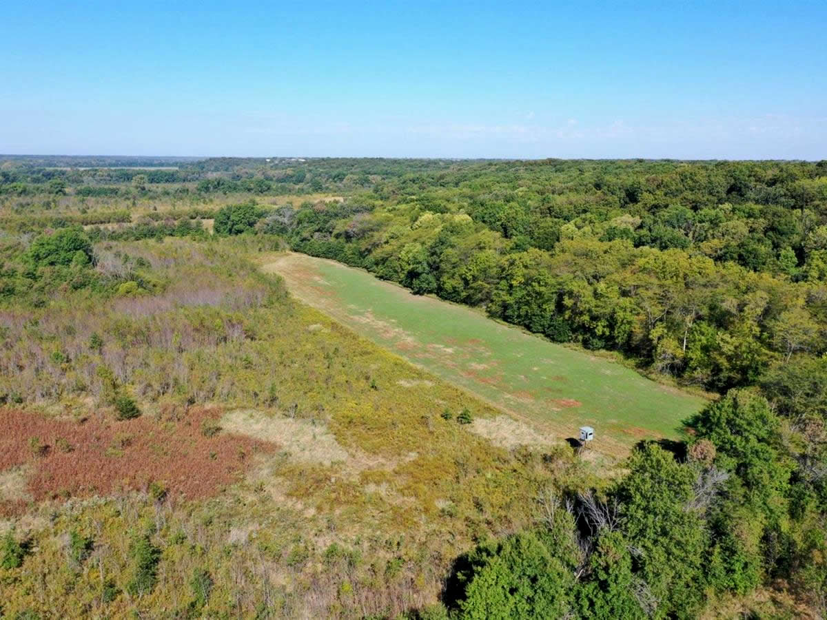 Timber, Hunting Land with WRP Grows and Holds Iowa Bucks - LANDFLIP BLOG