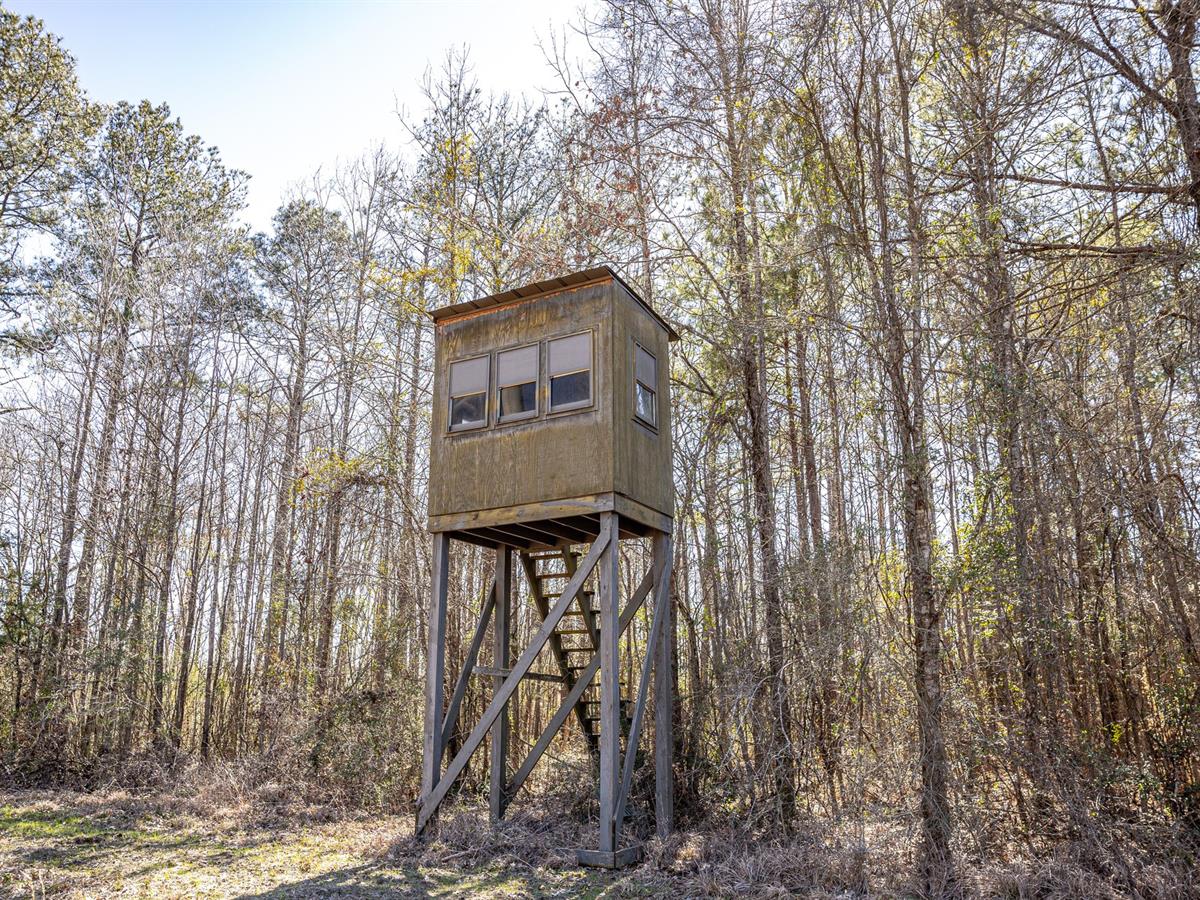 Turnkey Hunting Retreat in Mississippi Near Homochitto National Forest ...