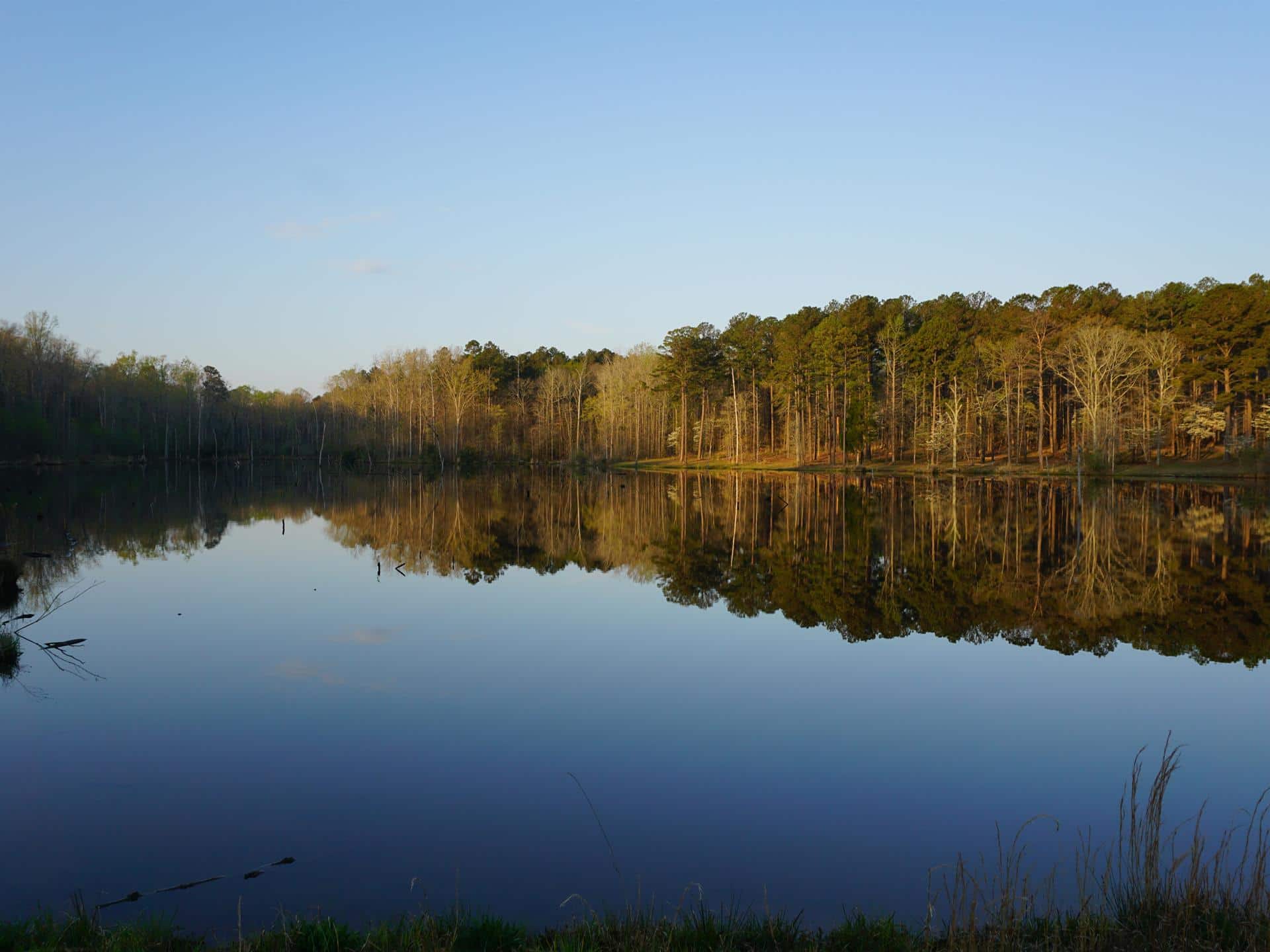 Unique Recreational Land Investment Opportunity - LANDFLIP BLOG