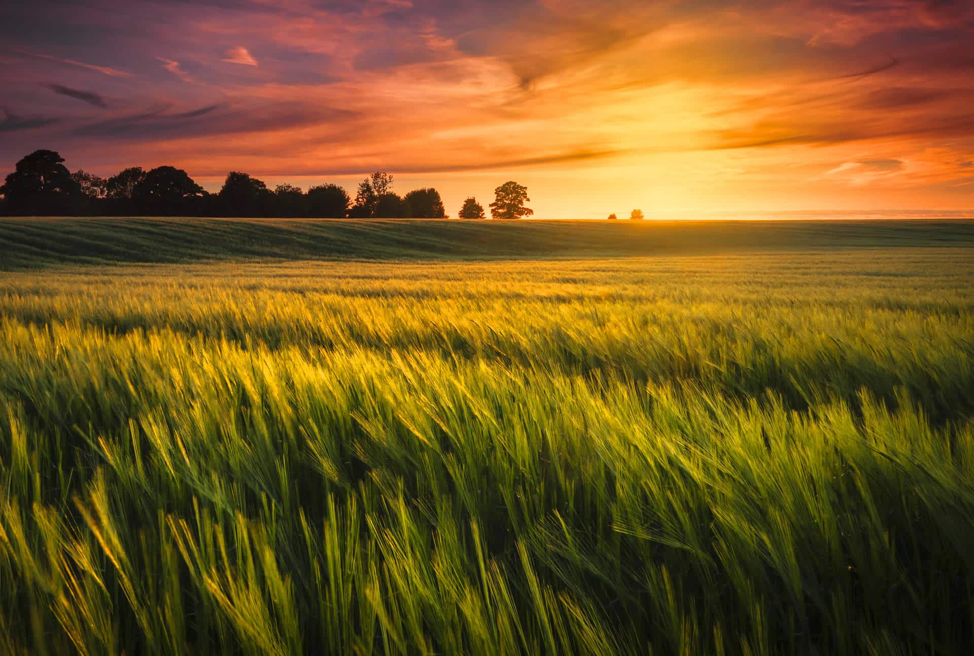 Upgrade Your Listing to Showcase for 10x More Views - LANDFLIP BLOG